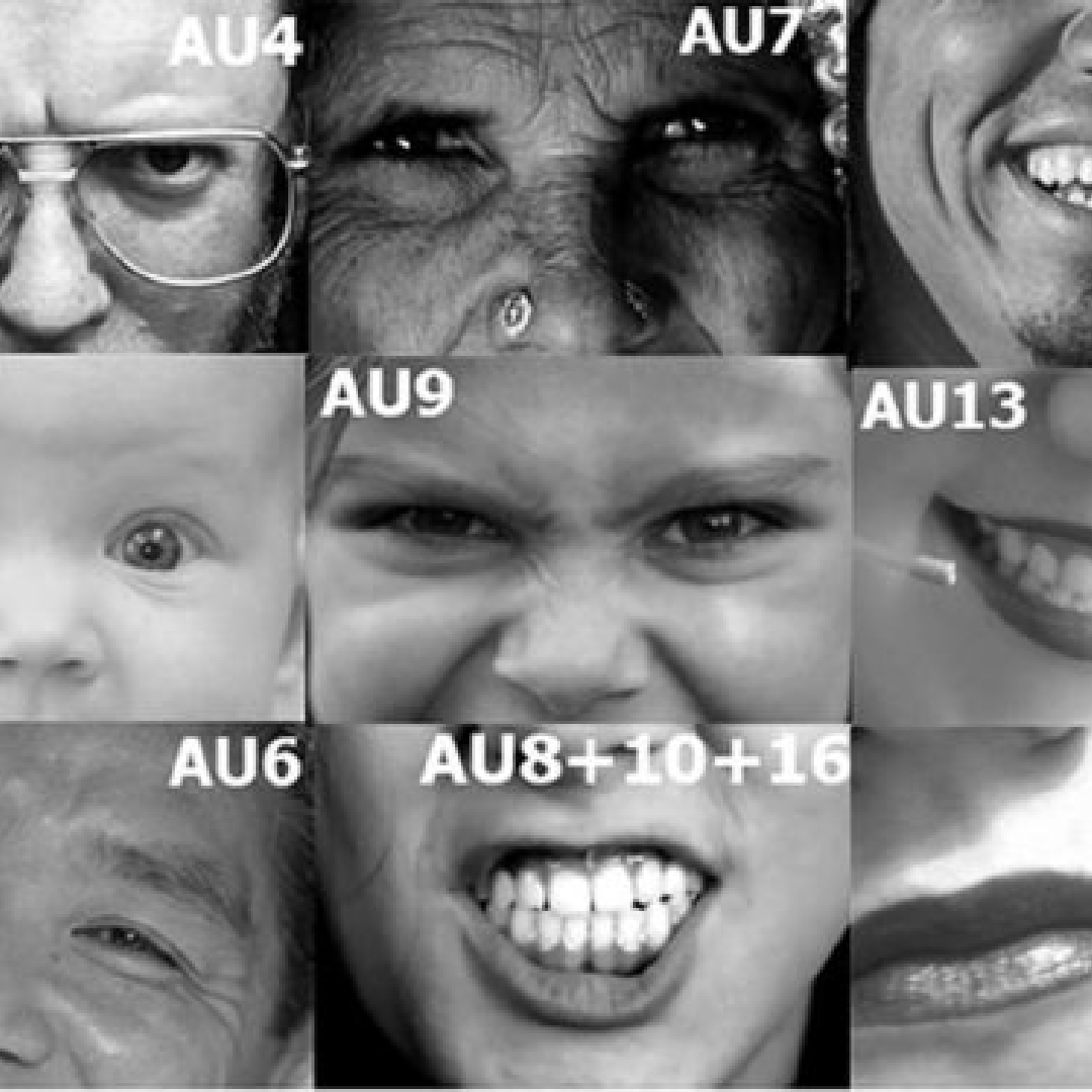 Facial Coding o Algoritmos de reconocimientos de microexpresiones ...